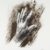 Henry Moore: Drawings of Hands | Seattle Artist League