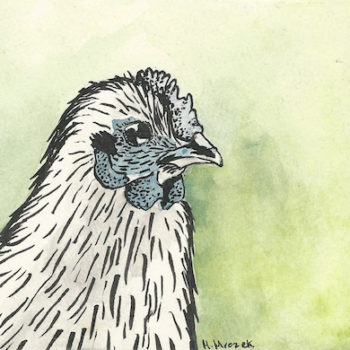 Mahala the Chicken Stalker | Seattle Artist League