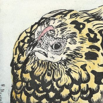 Mahala the Chicken Stalker | Seattle Artist League