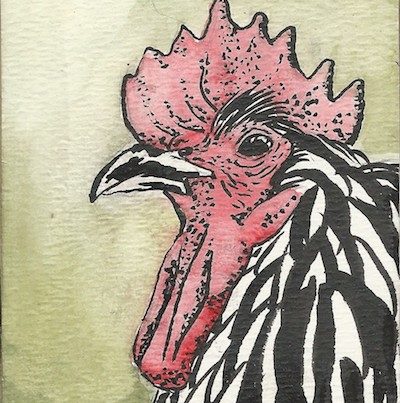 Mahala the Chicken Stalker | Seattle Artist League