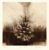 This is not an etching: Jake Muirhead | Seattle Artist League