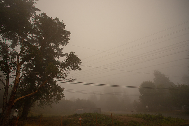 Smoke | Seattle Artist League