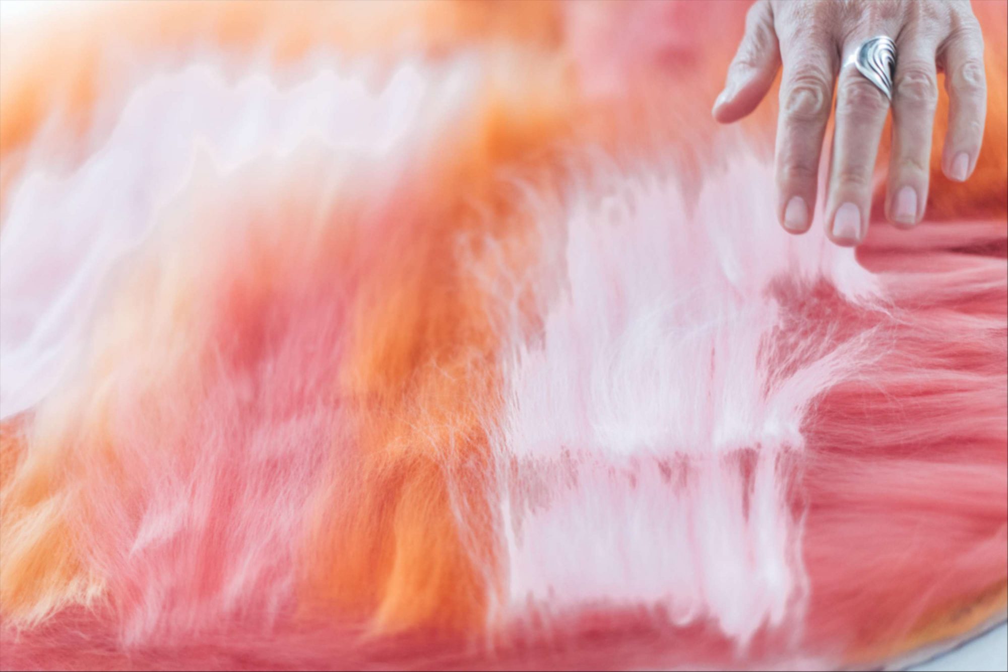 Felt Artist: Andrea Graham | Seattle Artist League