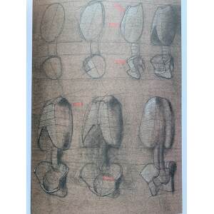 Art Classes | Seattle Artist League